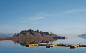 Botwood - Explore Exploits