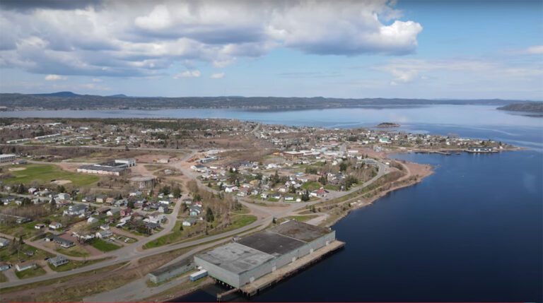 Botwood - Explore Exploits